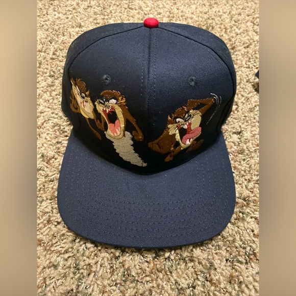 Accessories | Looney Tunes Taz Embroidered Baseball Cap | Poshmark